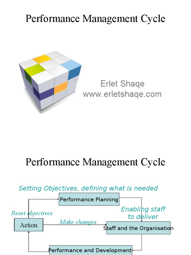 Performance Management | PDF | Performance Appraisal | Performance ...