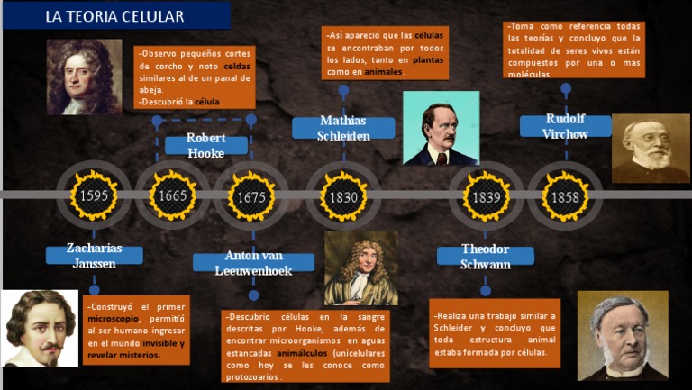 Teoria Celular Linea de Tiempo | PDF