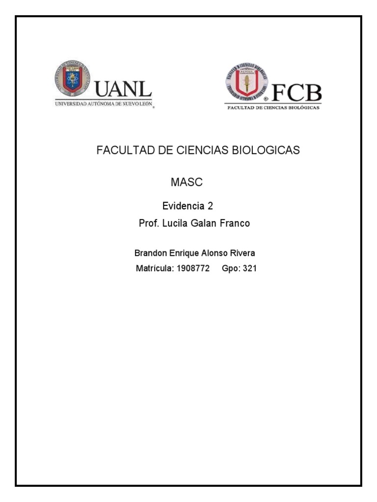 Masc 2 | PDF | Gobierno