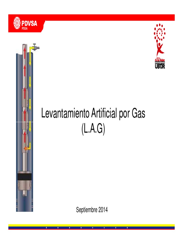 Presentacion Gas Lift | PDF | Gases | Ingeniería Química