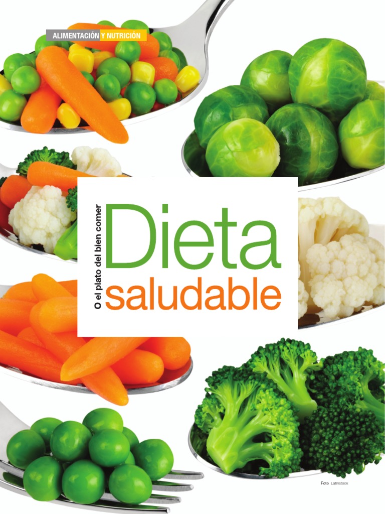 Plato Del Bien Comer 2 Pdf Pdf Dieta Alimentos