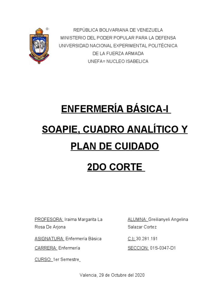 Enfermeria - SOAPIE-CUADRO ANALITICO Y PLAN DE CUIDADO II - 29-10-2020 ...