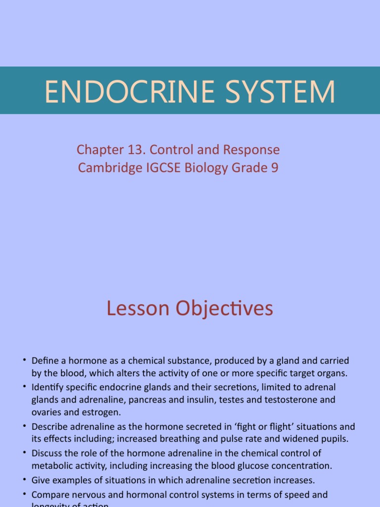 Endocrine System: Chapter 13. Control and Response Cambridge IGCSE ...