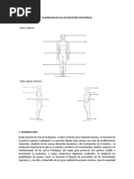 Evaluación de Posturas Estáticas y Dinámicas | PDF | La columna ...