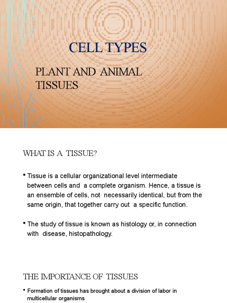 Cell Types: Plant and Animal Tissues | PDF | Tissue (Biology) | Muscle