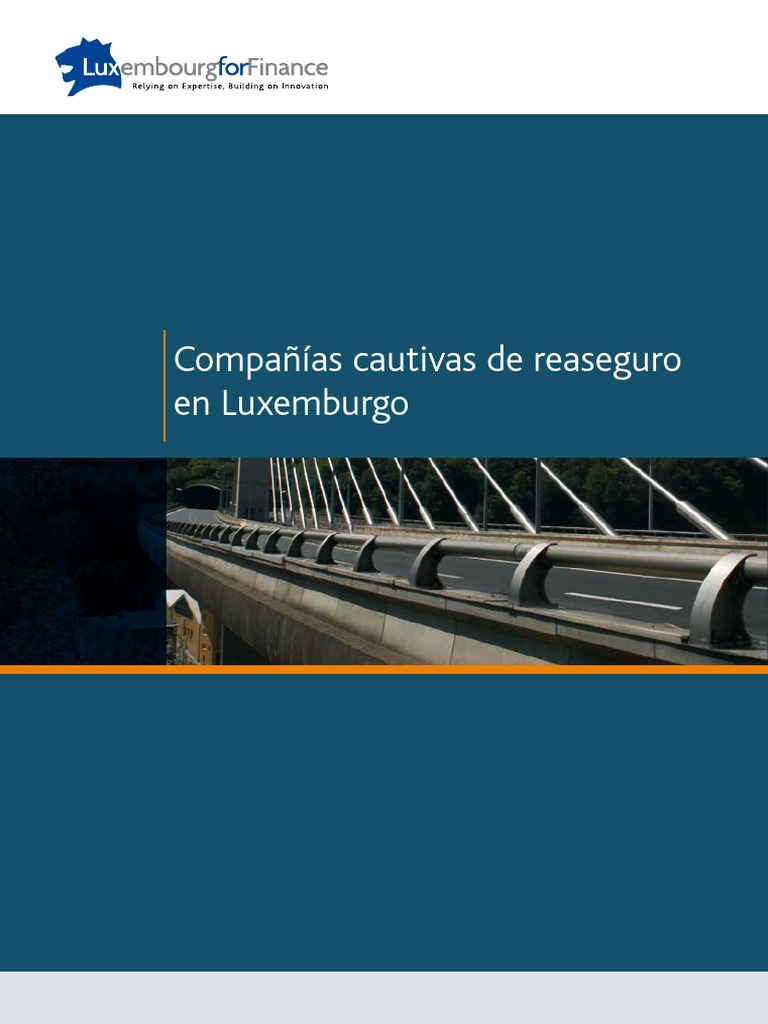 Compañias Cautivas de Reaseguros | PDF | Reaseguro | Luxemburgo