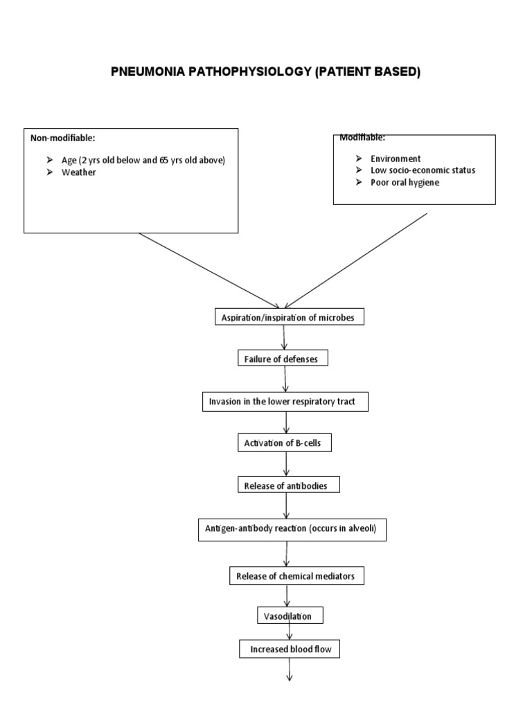 Pneumonia Pathophysiology (Patient Based) : Non-Modifiable: Modifiable ...