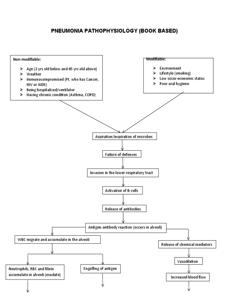 Pneumonia Pathophysiology Book Based Non Modifiable Modifiable