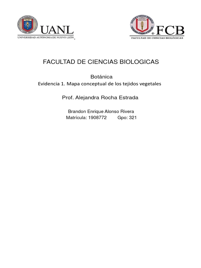 Botanica - Mapa Conceptual | PDF | Tallo de la planta | Raíz