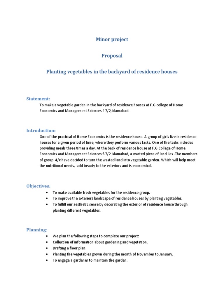 Backyard Vegetable Garden Proposal | PDF | Vegetables | Onion