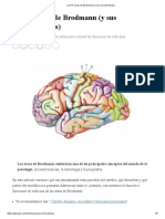 Áreas de Brodmann | PDF | Cerebro | Percepción