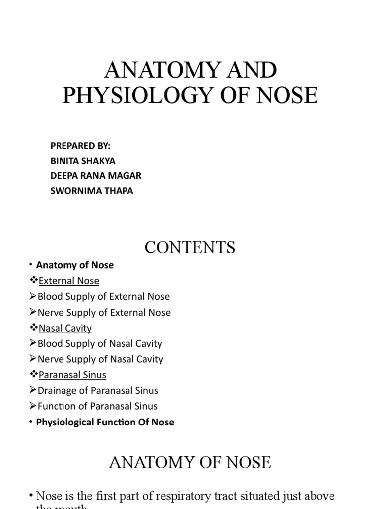 Anatomy and Physiology of Nose | PDF | Human Nose | Respiratory Tract