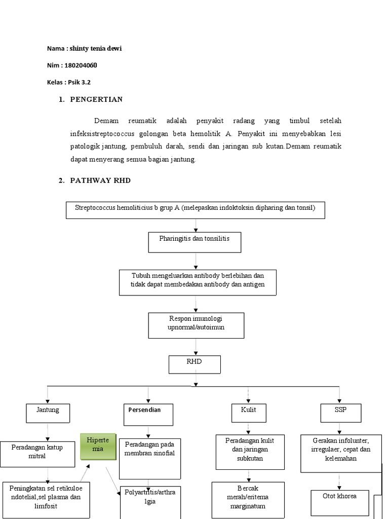Patofisiologi RHD | PDF