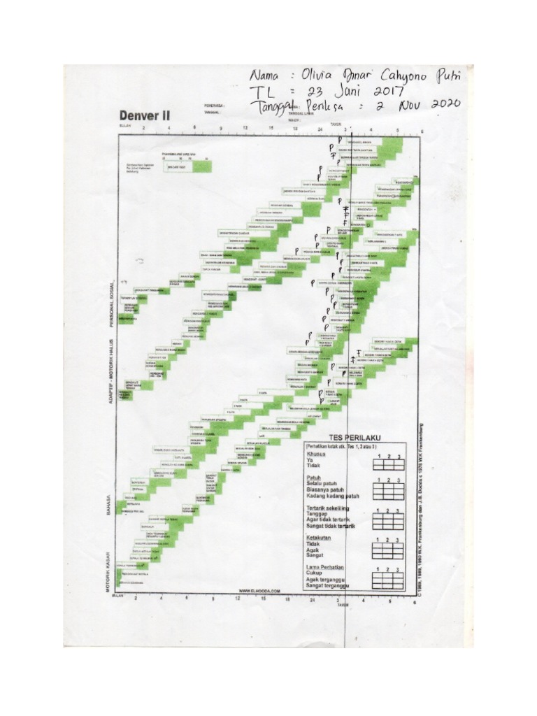 Pemeriksaan DDST | PDF