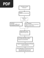 Case Study PN Pcap C Final | PDF | Pneumonia | Cough