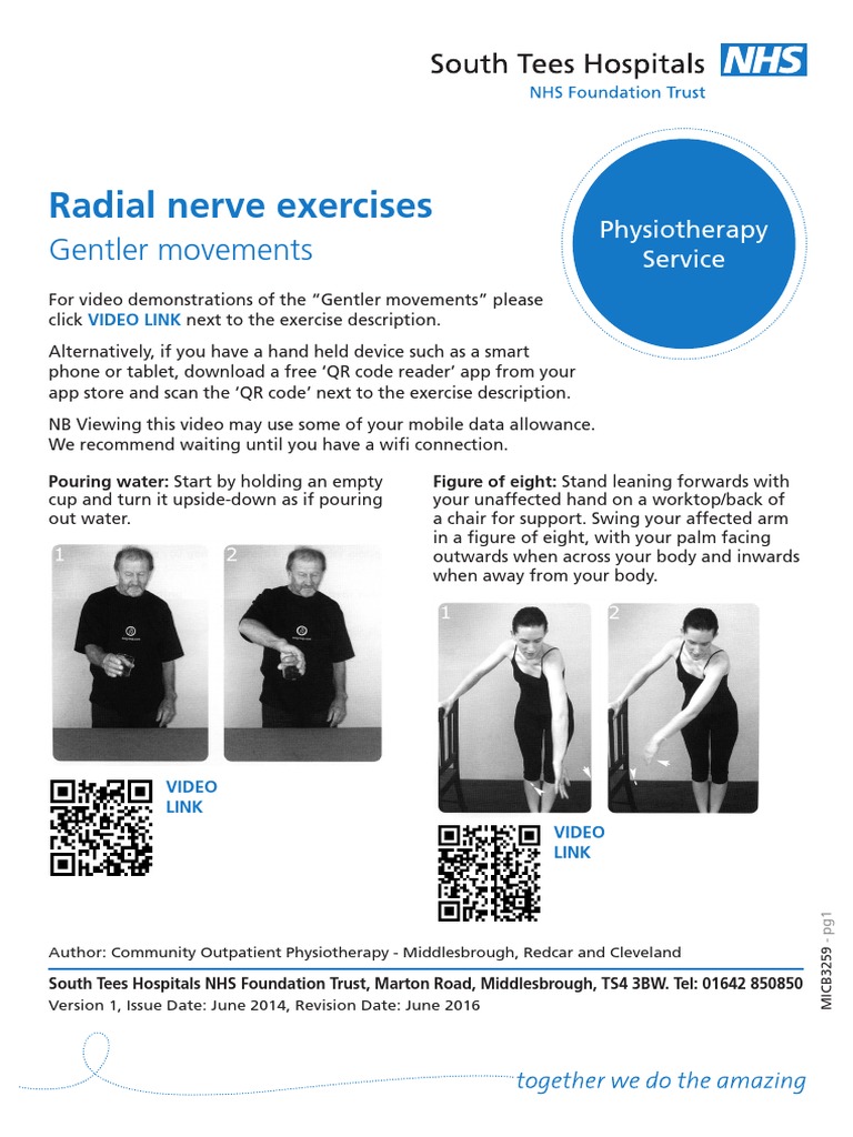 Radial Nerve Exercises: Gentler Movements | PDF | Hand | Computing And ...