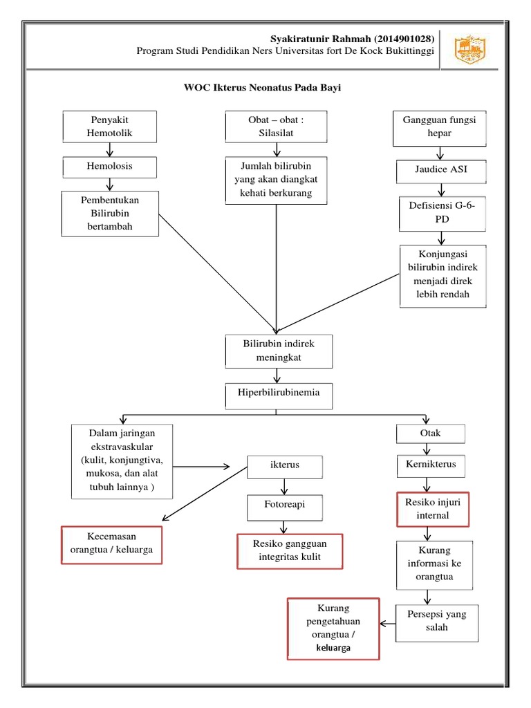 WOC Ikterus Neonatus Syakiratunirahmah | PDF