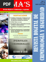 Modelo Certificacion Contador | PDF | Business