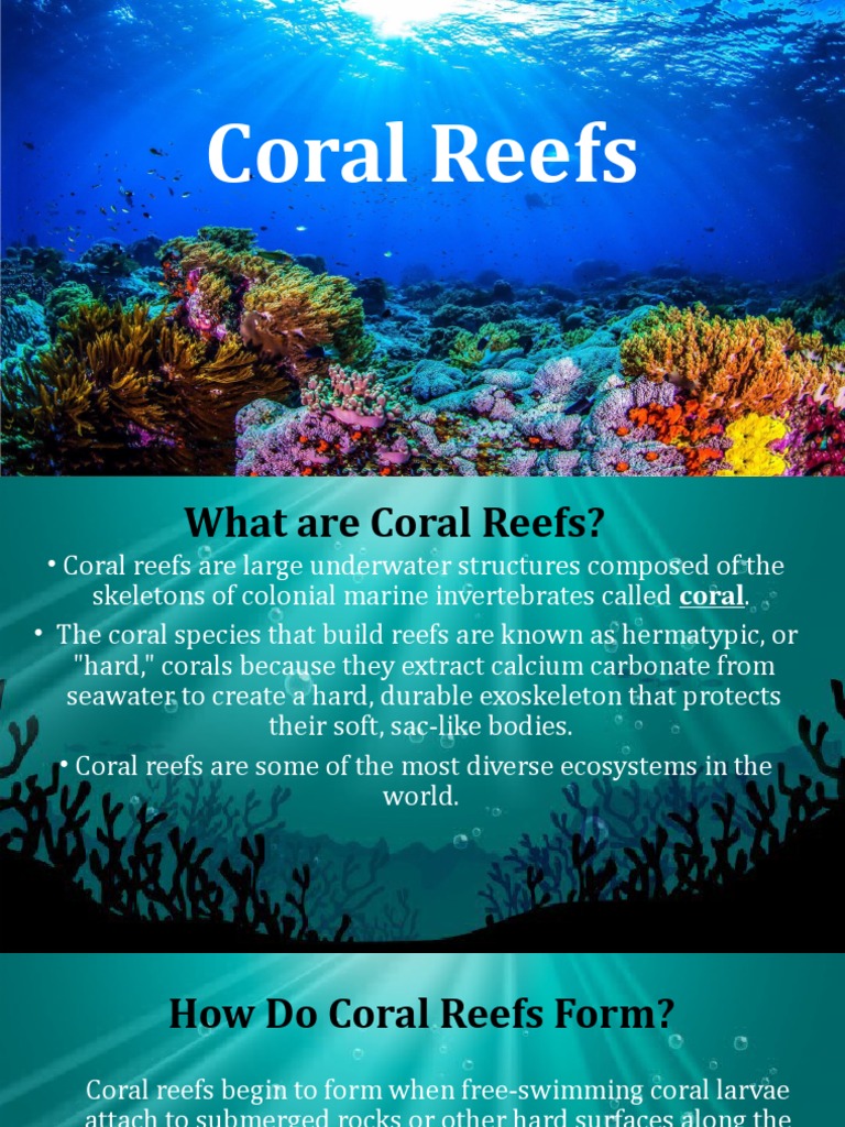 Final Coral Reefs and Estuarine | PDF | Coral Reef | Estuary