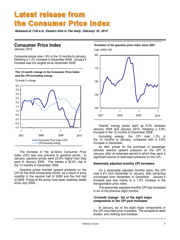 Consumer Price Index 2010 | PDF | Consumer Price Index | Economies