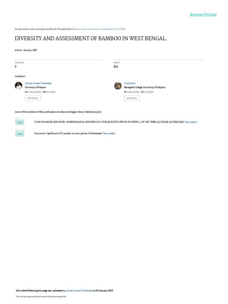 Bamboo PDF | PDF | Leaf | Branches Of Botany