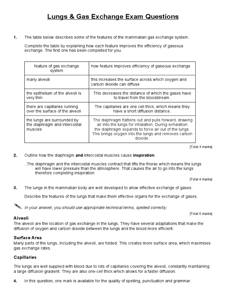 7.2 Lungs - Gas Exchange Exam Questions | PDF | Lung | Respiration