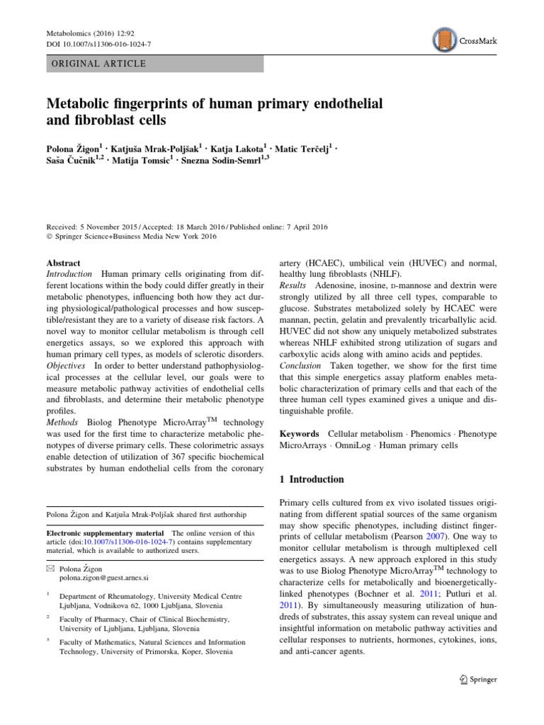 Metabolic Fingerprints of Human Primary Endothelial and Fibroblast ...