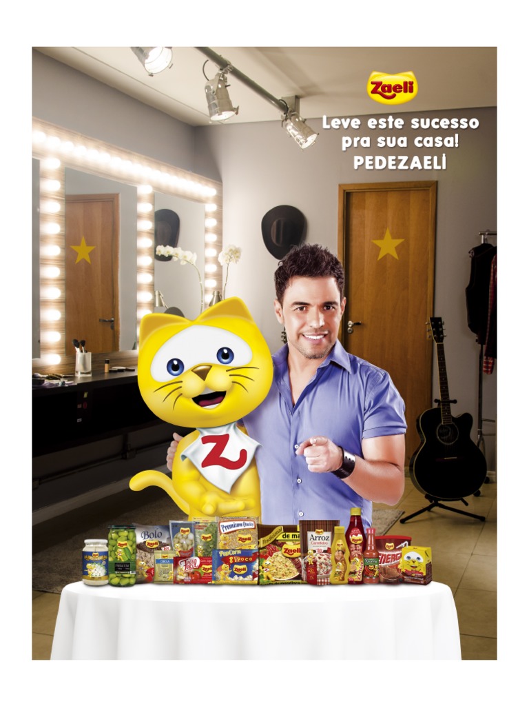 Quem Somos a Zaeli: História, Missão, Visão e Valores da Empresa ...