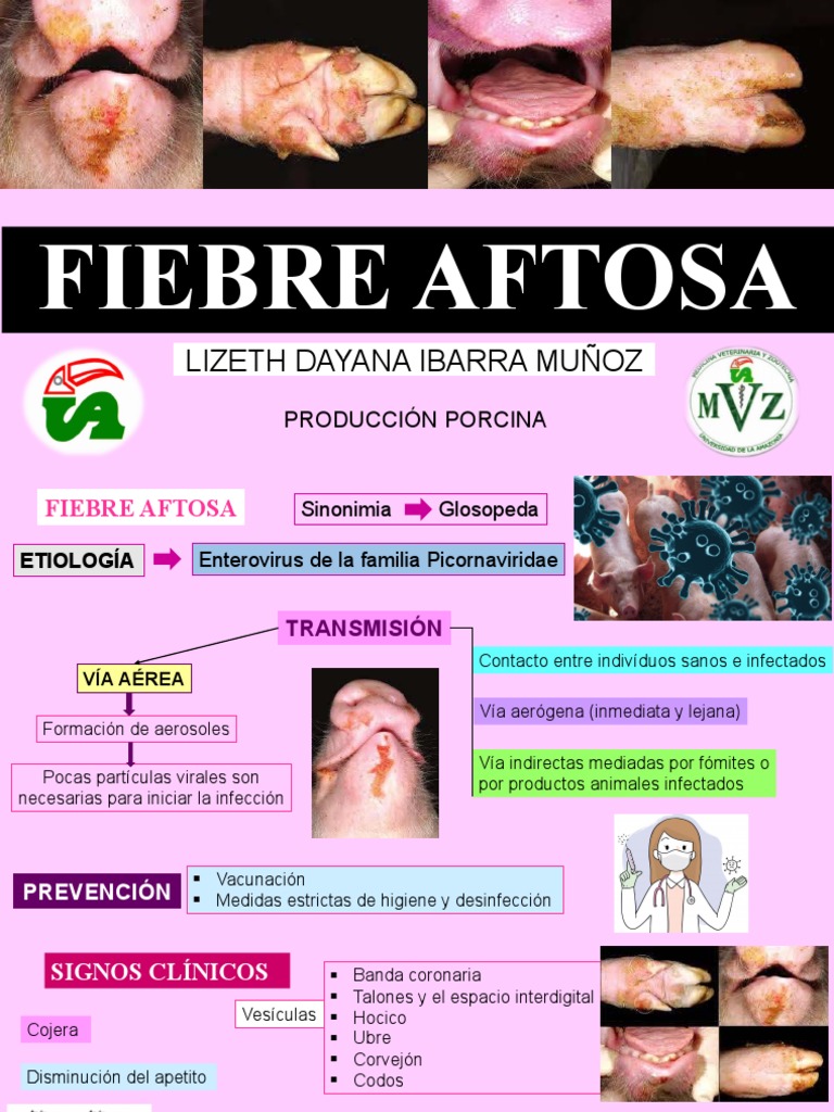 Fiebre Aftosa | PDF | Virología animal | Especialidades Medicas