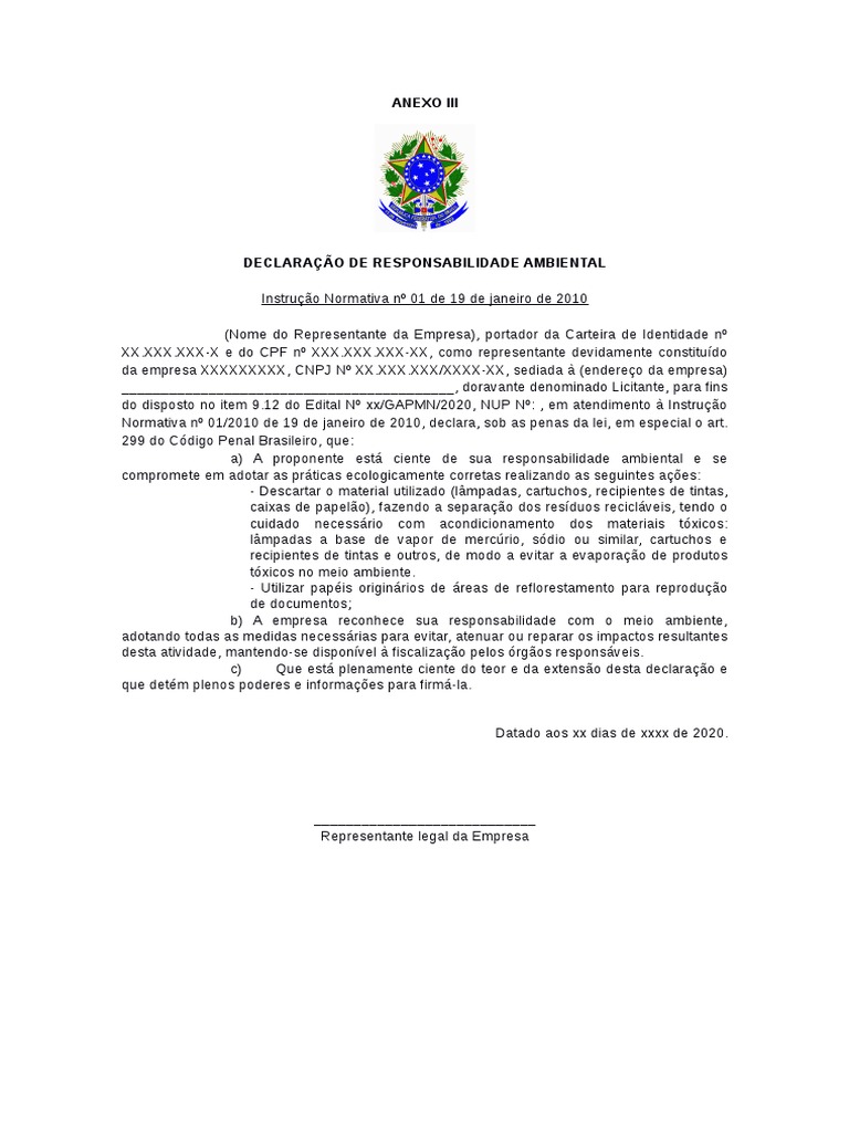 Anexo Iii Declaracao de Responsabilidade Ambiental | PDF
