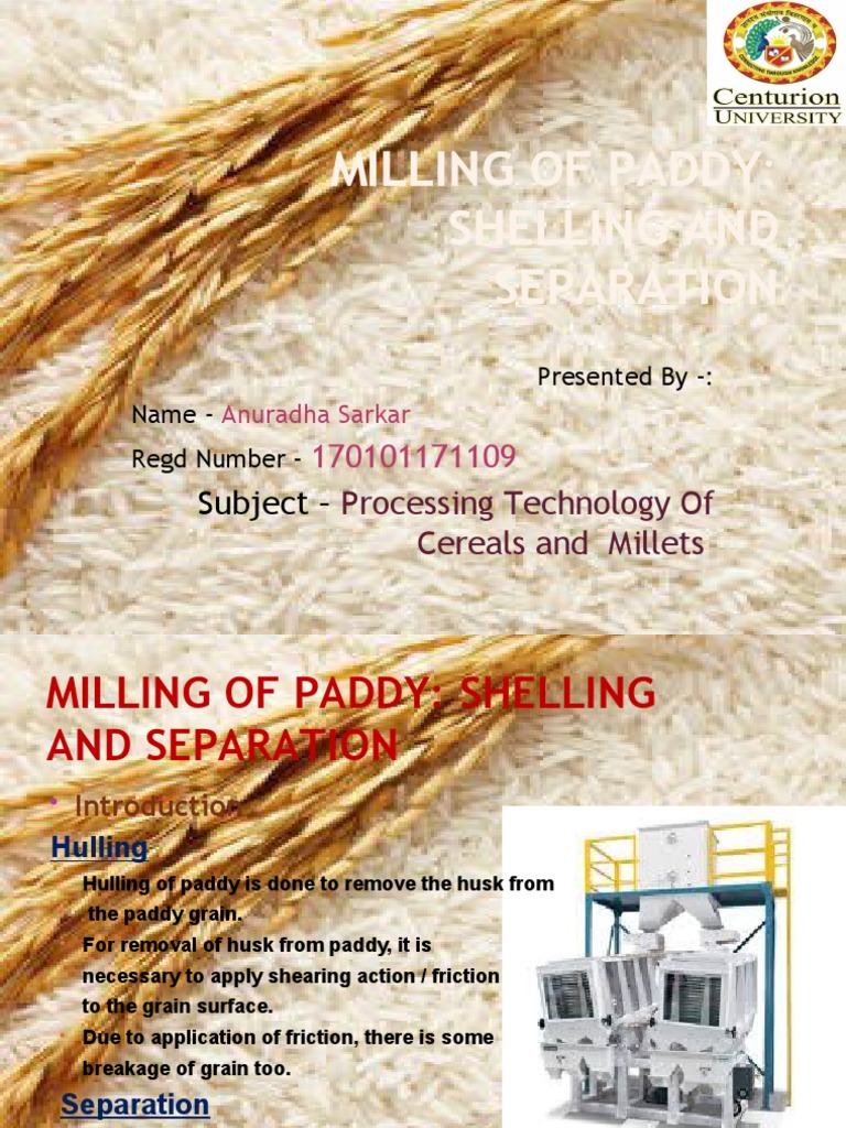 Milling of Paddy Cultivation | PDF | Rice | Mill (Grinding)