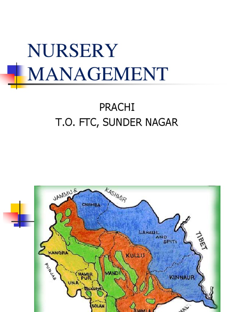 Nursery Management: Prachi T.O. FTC, Sunder Nagar | PDF | Plant Nursery ...
