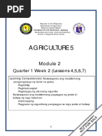 Epp5 - Afa - Module 1 | PDF
