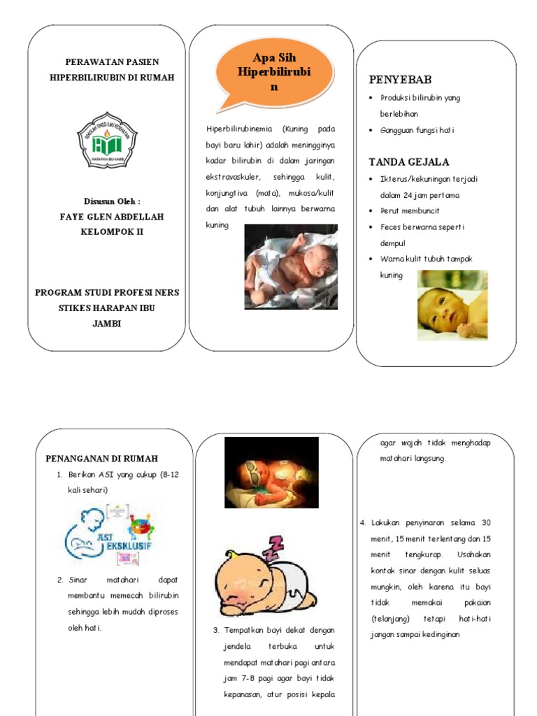Leaflet Hiperbilirubin | PDF