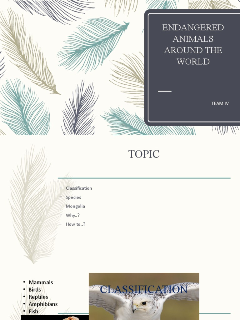 Endangered Animals Around The World | PDF