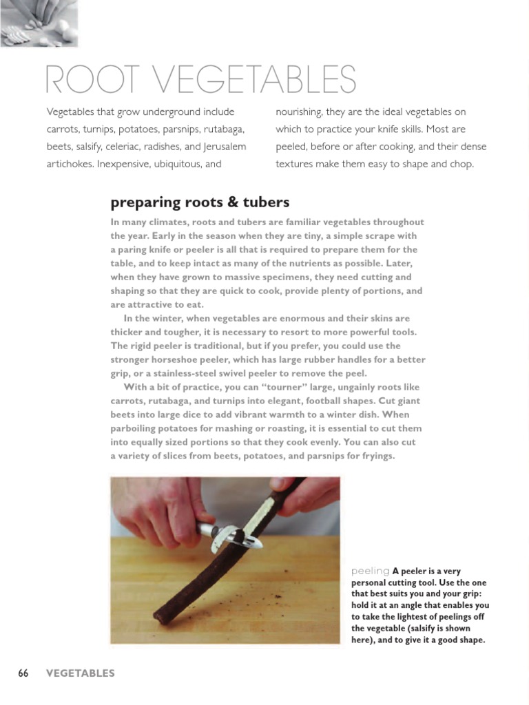 Root Vegetables Preparing Roots Tubers Pdf Vegetables Turnip