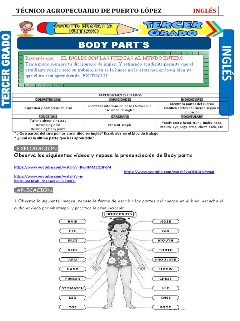 Guia de Body Parts Semana 1° de Nov | PDF | Cognición | Aprendizaje