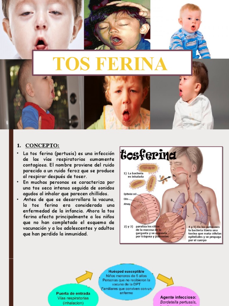 Tos Ferina | PDF | Tos | Especialidades Medicas
