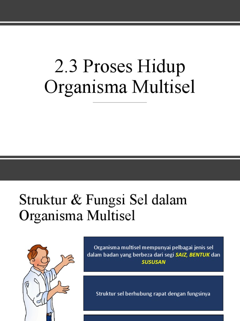 2.3 Proses Hidup Organisma Multisel | PDF