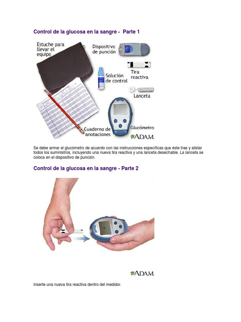Control de La Glucosa en La Sangre | PDF