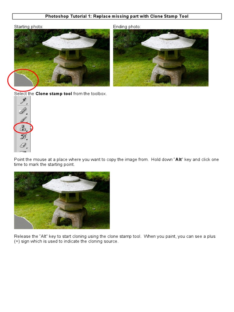 Tutorial Guide | PDF | Adobe Photoshop | Computer Graphics