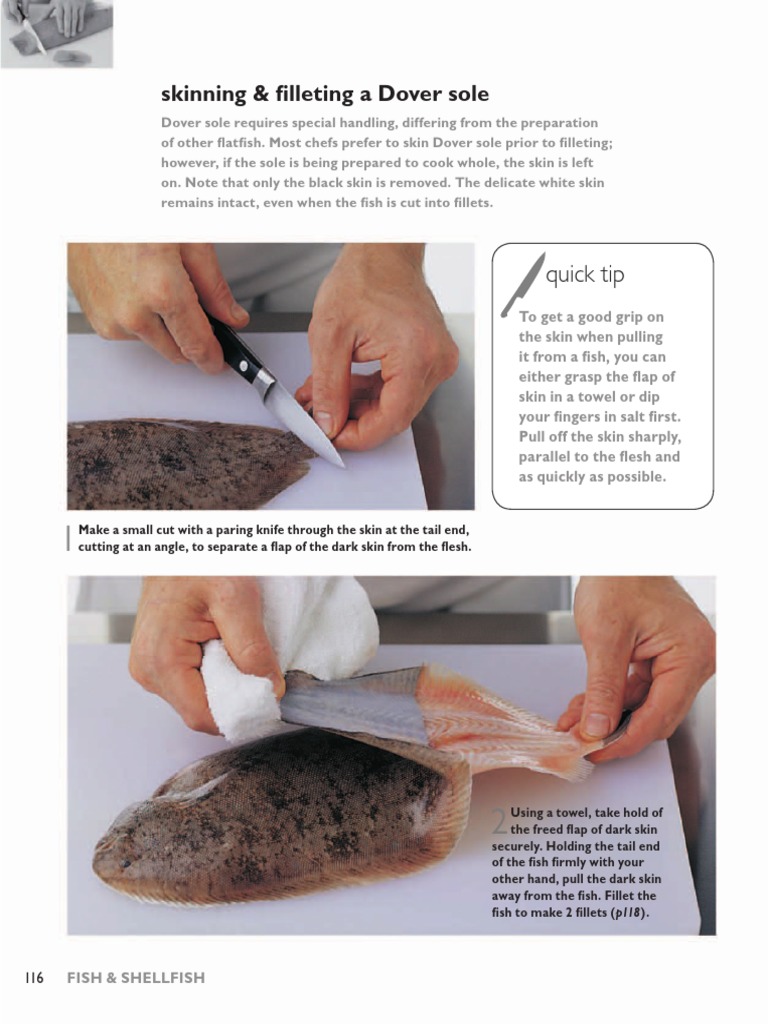 Skinning & Filleting A Dover Sole | PDF | Fish And Humans | Nature