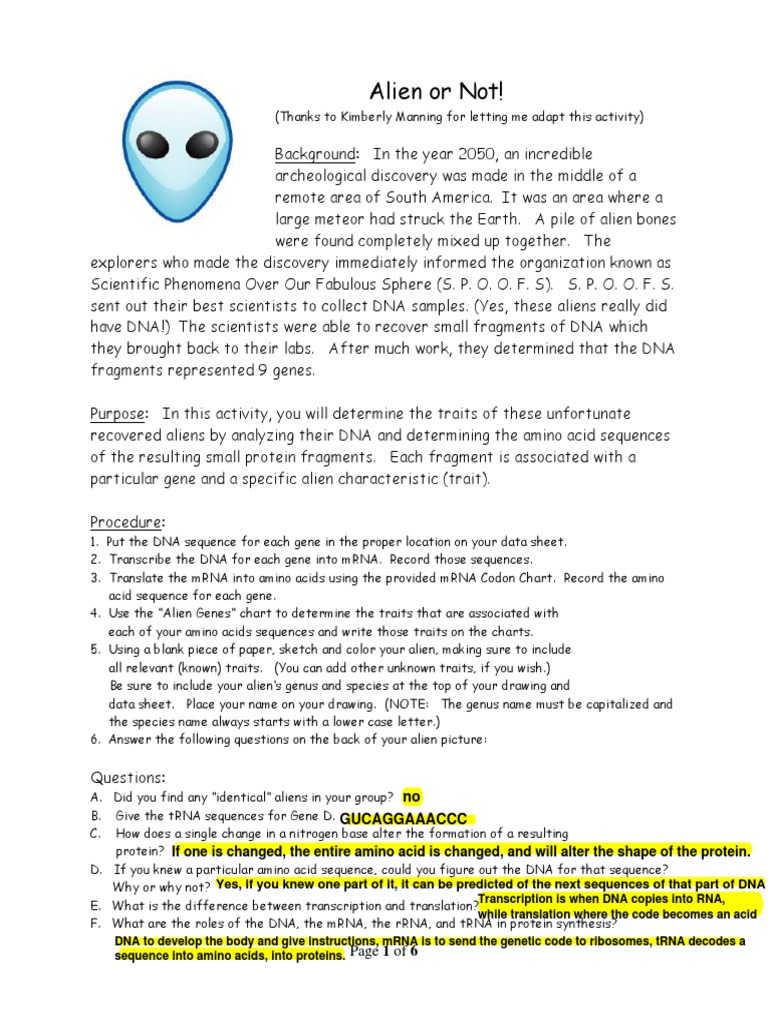 Alien or Not Protein Synthesis Activity-1-1 | PDF | Translation ...