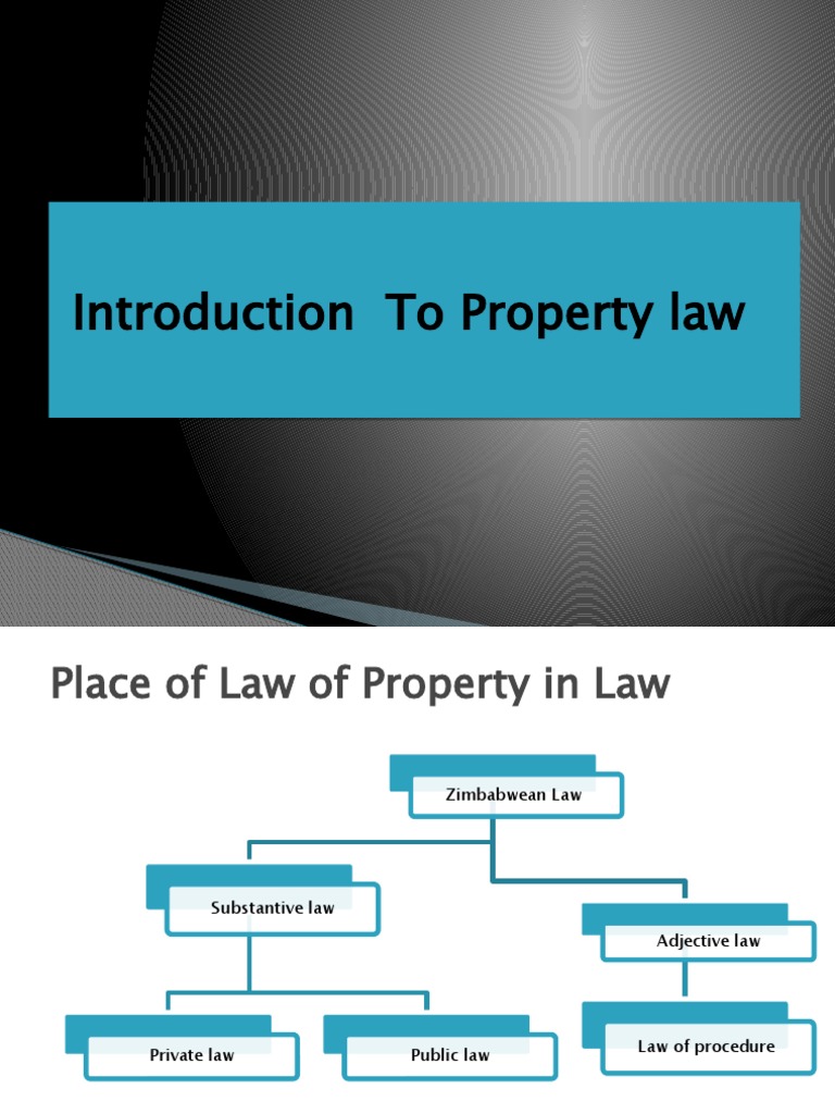 Introduction to Property Law in Zimbabwe | PDF | Ownership | Legal Remedy