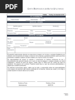 16.0 Formato Resguardo de Vehiculo | PDF