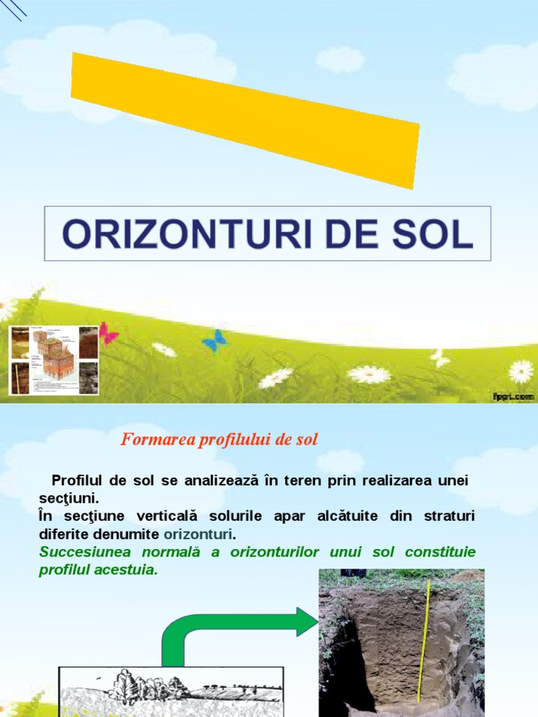 Orizonturi de Sol | PDF