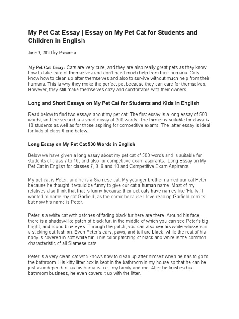 My Pet Cat Essay - Essay On My Pet Cat For Students and Children in ...