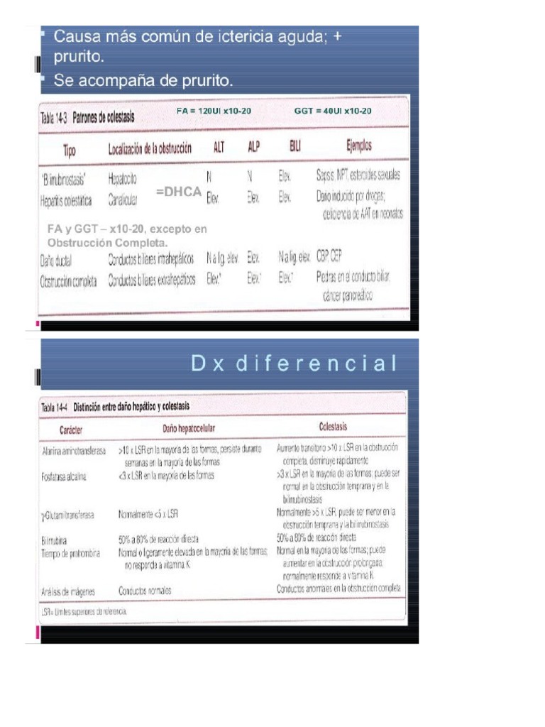 Pruebas de Funcion Hepatica | PDF | Hepatitis | Anatomía