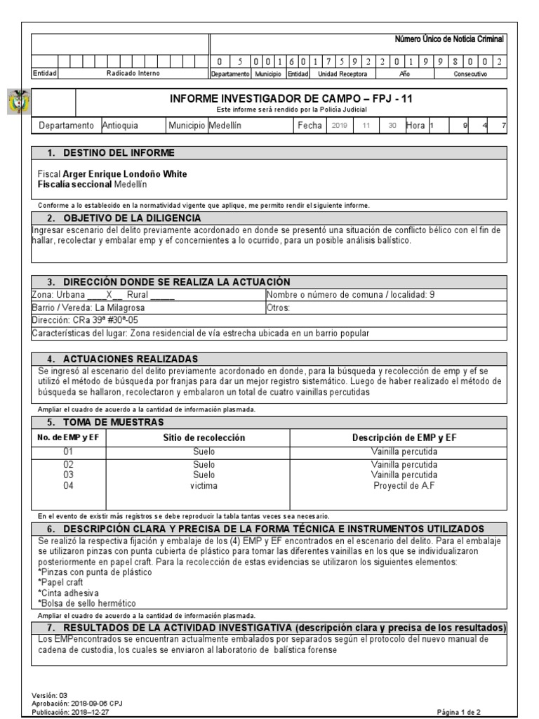 FPJ 11 Informe Investigador de Campo V 0 | PDF | Thriller y crimen | Policía