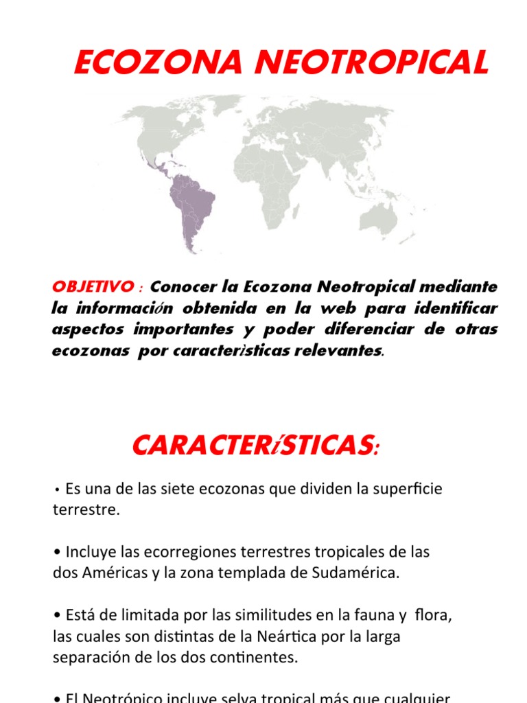 Ecozona Neotropical: Objetivo | PDF | Selva | Ciencias de la Tierra